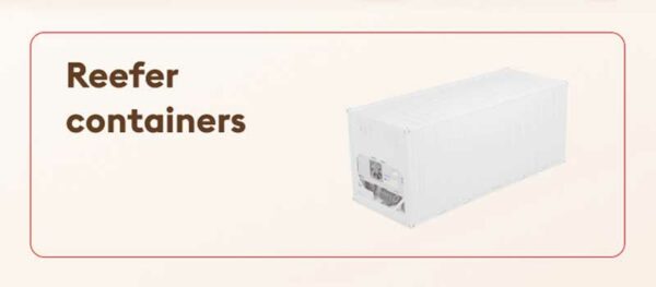 11 Shipping Containers Types: Sizes and Uses